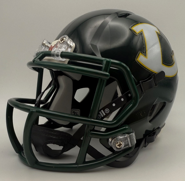 Texas High School Mini Football Helmets