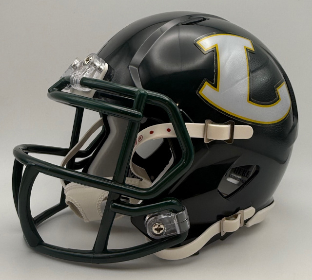 Texas High School Mini Football Helmets