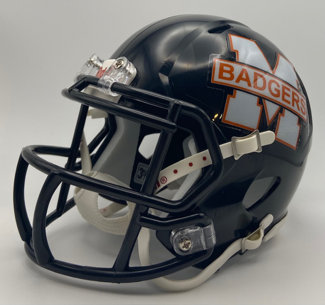 Texas High School Mini Football Helmets