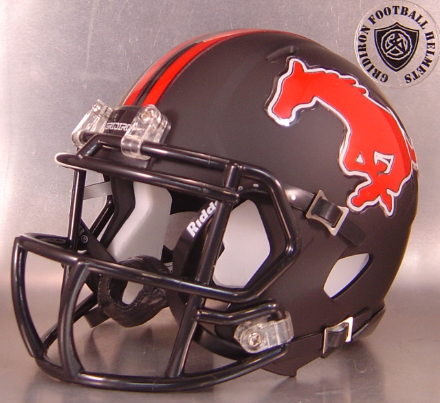 Texas High School Mini Football Helmets