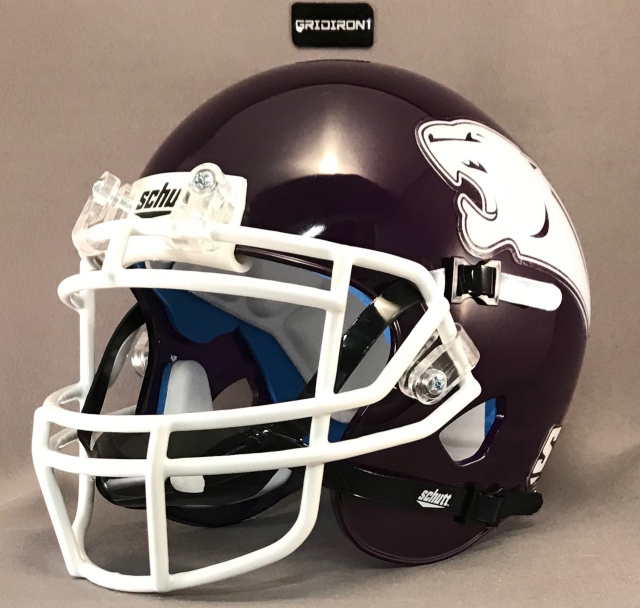 Texas High School Mini Football Helmets