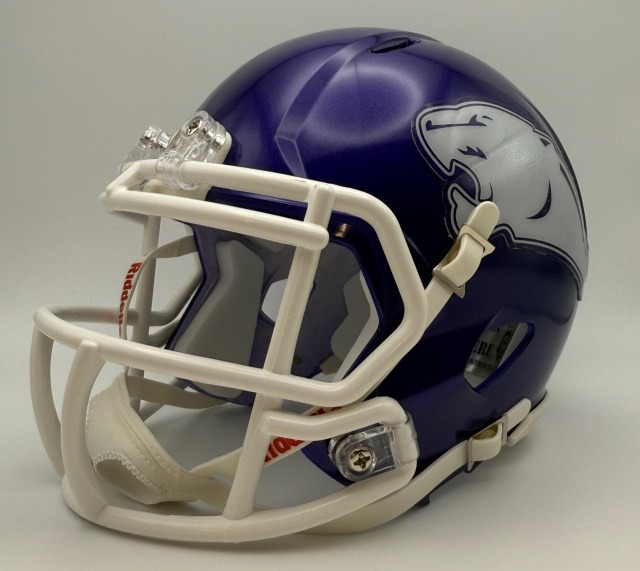 Texas High School Mini Football Helmets