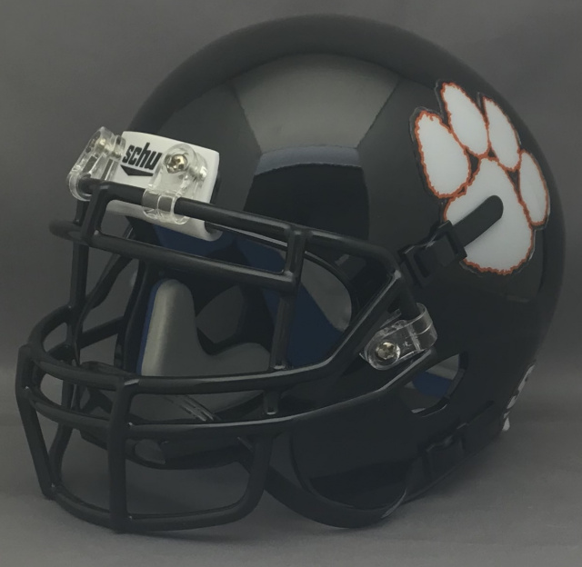 Powell Panthers HS (TN) 2010