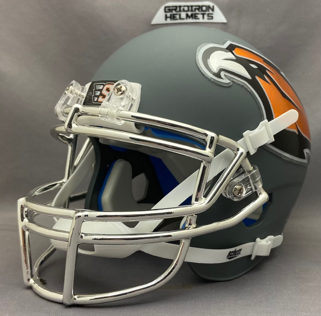 Skyridge Falcons HS (UT) 2020 Chrome Mask and decals Riddell Speed