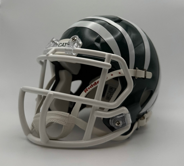 High School Mini football helmets home page