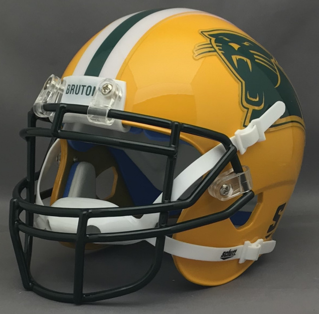 Bruton Panthers HS (VA) 1992-1996 Riddell Speed