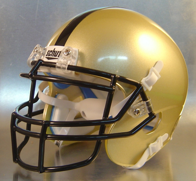 Texas High School Mini Football Helmets