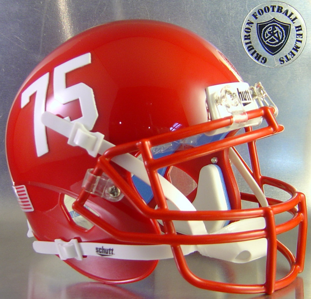 Tucson Badgers HS 2015-2016 (AZ) Riddell Speed